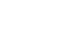 Company Overview | Elixir Energy